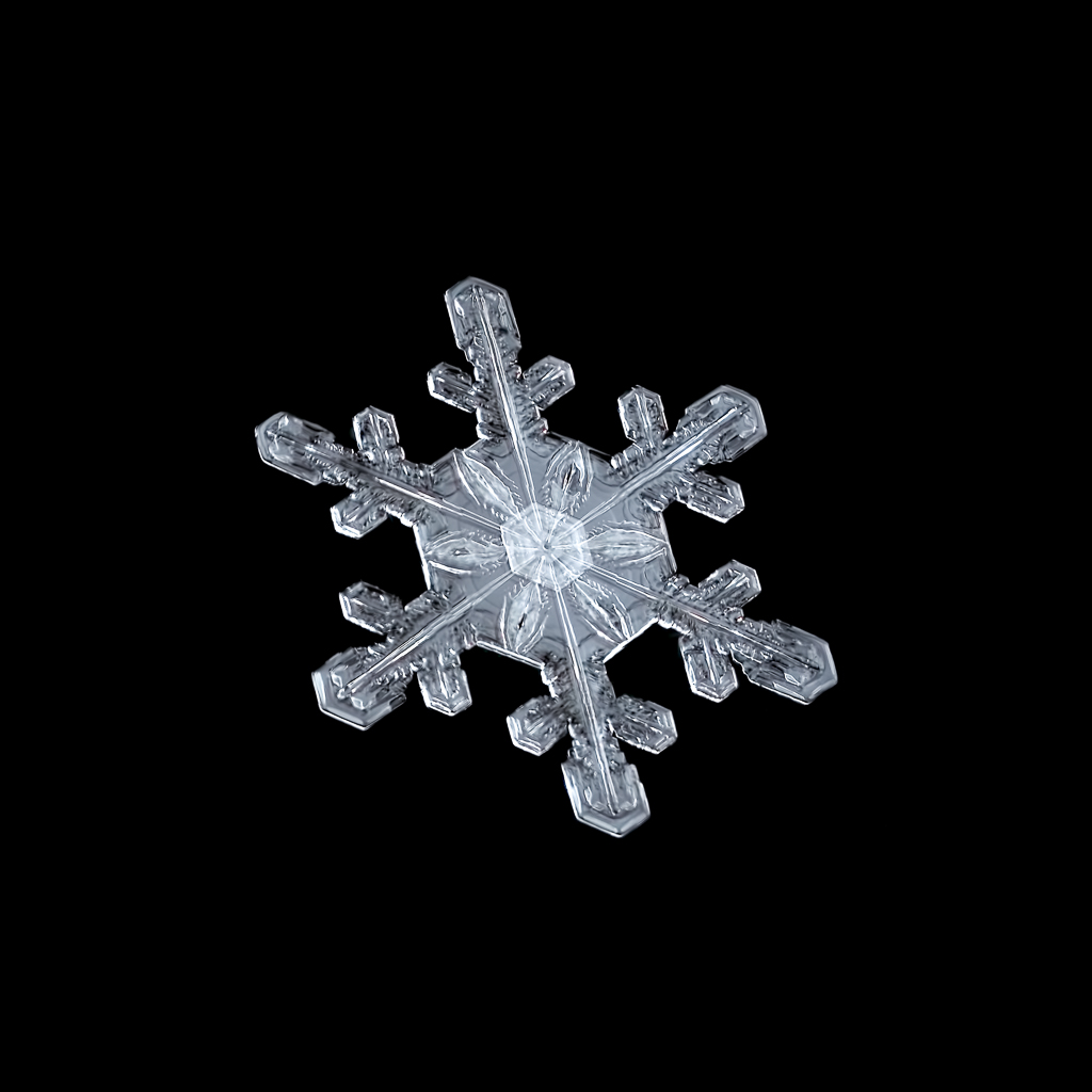 Luc Pouliot Photographe